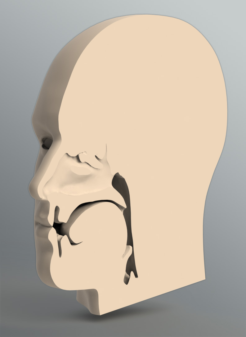 Zygote::Solid 3D Male Integumentary System